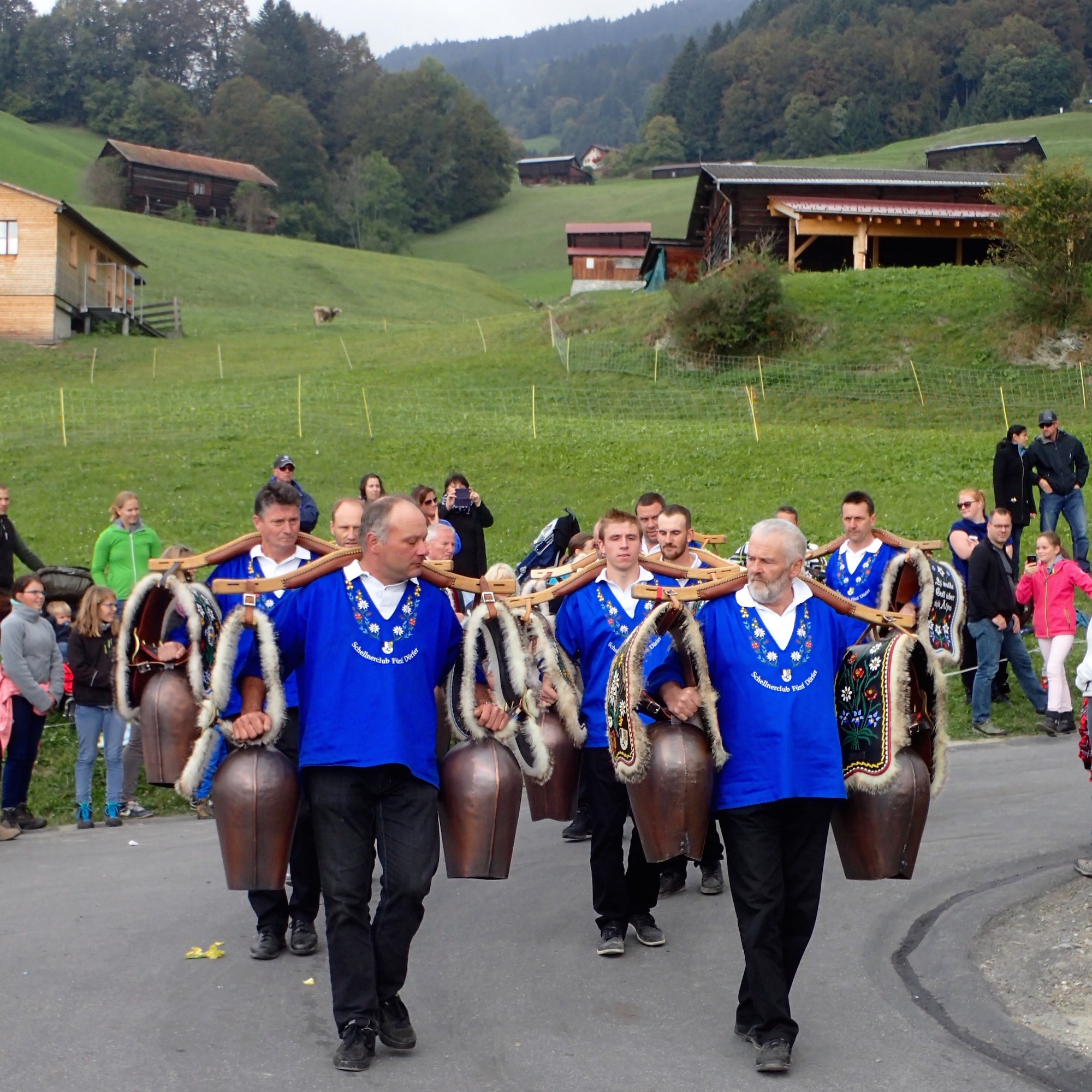 Alp Cows in Autumn: Switzerland's Alpine Descent Festivals