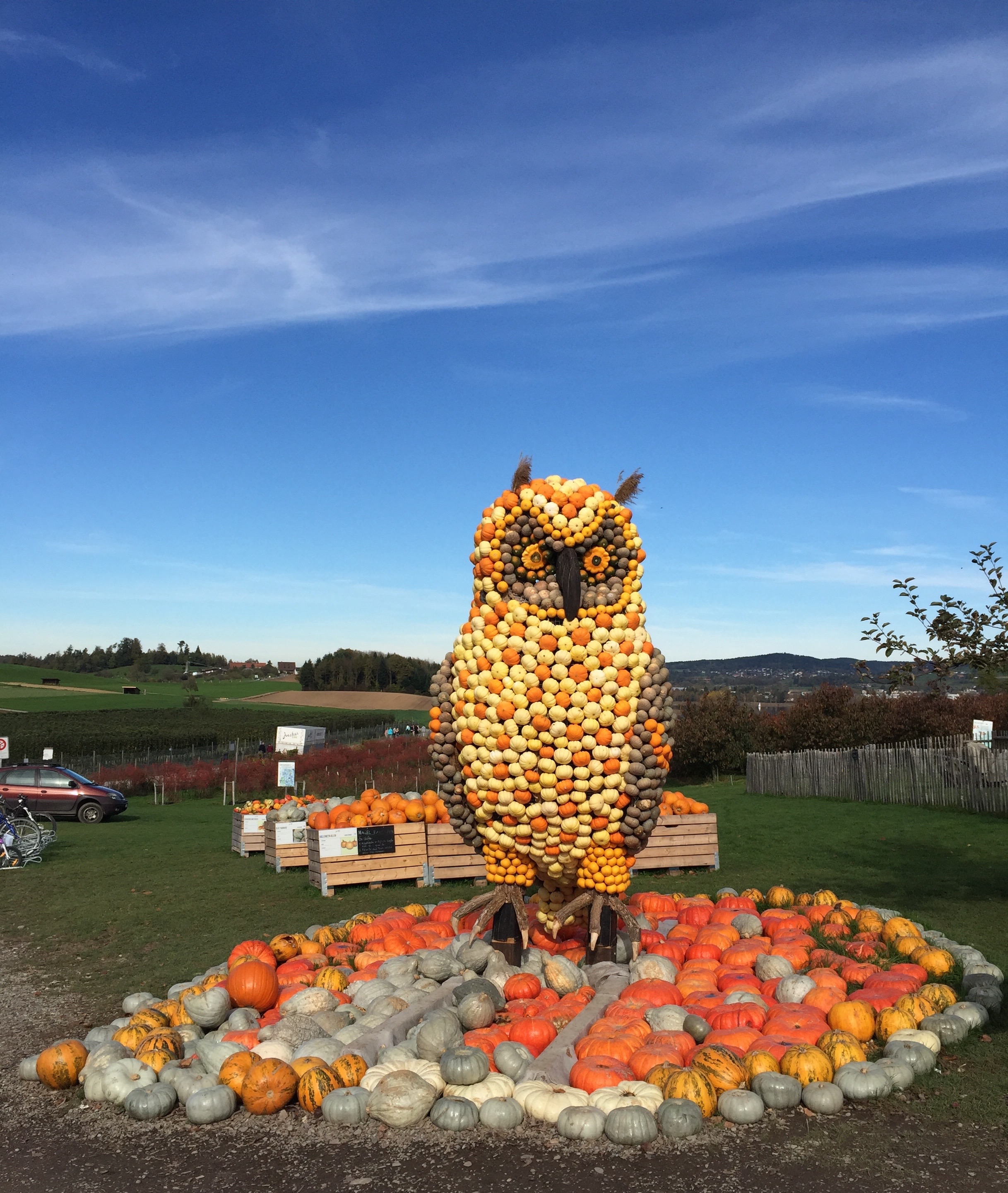 5 Reasons to Visit Jucker Farm - Global Heartbeat Travel