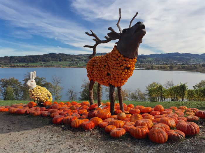 5 Reasons to Visit Jucker Farm - Global Heartbeat Travel