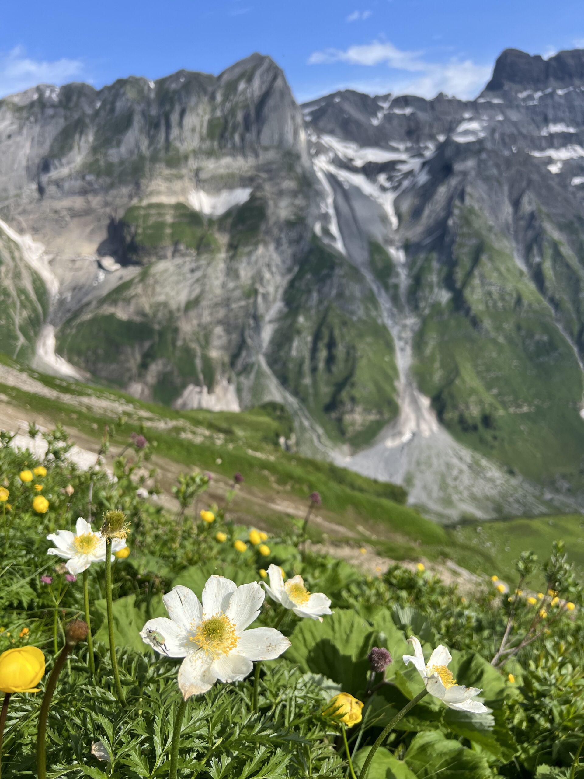 Braunwald, Switzerland’s Best Kept Secret
